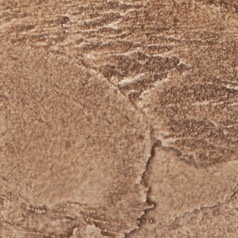 Stain Colorants | Avient