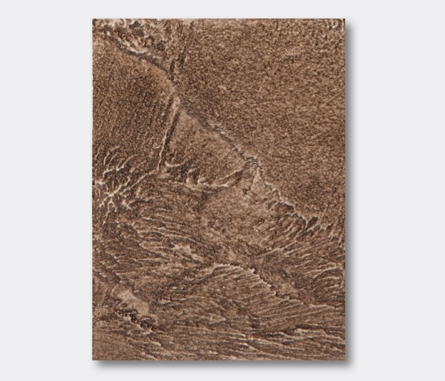 Stain Colorants | Avient